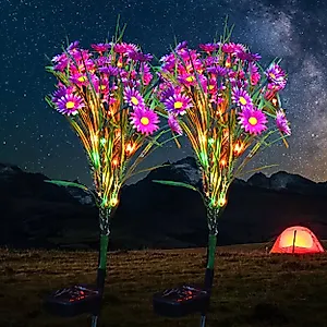 SlappyShirts Solar Flower Lights,Outdoor Decorative Wild Lights Garden Decor,Multi-Color Changing Waterproof Lights,for Outdoor Decor of Patio, Backyard, Garden(2 Pack,Red)