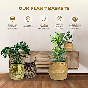 GAIAMADE Set of 2 Woven Seagrass Basket with Handles and Liner for Plant Pot, Belly Basket, Storage Basket, Wicker Baskets, Basket for Plant Baskets Indoor, Natural Seagrass Basket, Size ML