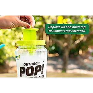 RESCUE! POP! Fly Trap – Large Reusable Fly Trap for Outdoor Use - 3 Pack