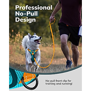 MIDOG Dog Harness, No-Pull Pet Harness and Leash Set for Small Medium Large Dogs Walking, No Choke Front Clip Dog Reflective Harness, Adjustable Soft Padded Pet Vest with Easy Control Handle (Blue,XL)