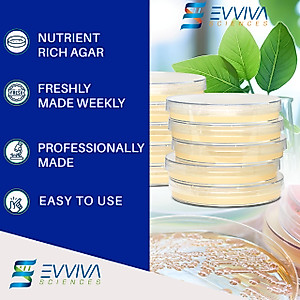 Evviva Sciences Nutrient Agar Petri Dishes Science Project Kit, Pre-Poured Agar Plates for Science Experiments, with Experiment eBook