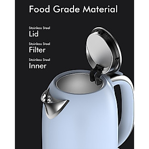 Electric Tea Kettle with Temperature Control, Longdeem 1.7L Stainless Steel Water Boiler & Heater, 1500 Watts for Fast Boiling, Cordless Serving with LED Light, Pastel Blue