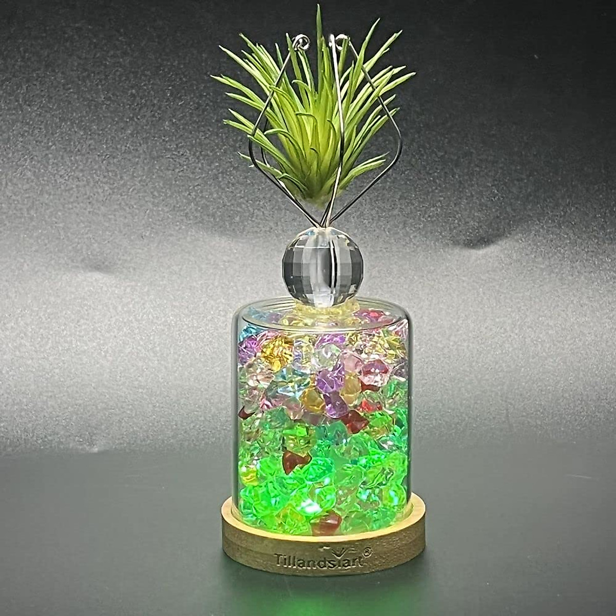 Tillandsiart 3Pack Air Plant Holders (3Pcs Air Plant Containers W/LED Lights) A decorative accessory for setting up air plant display for house decor.