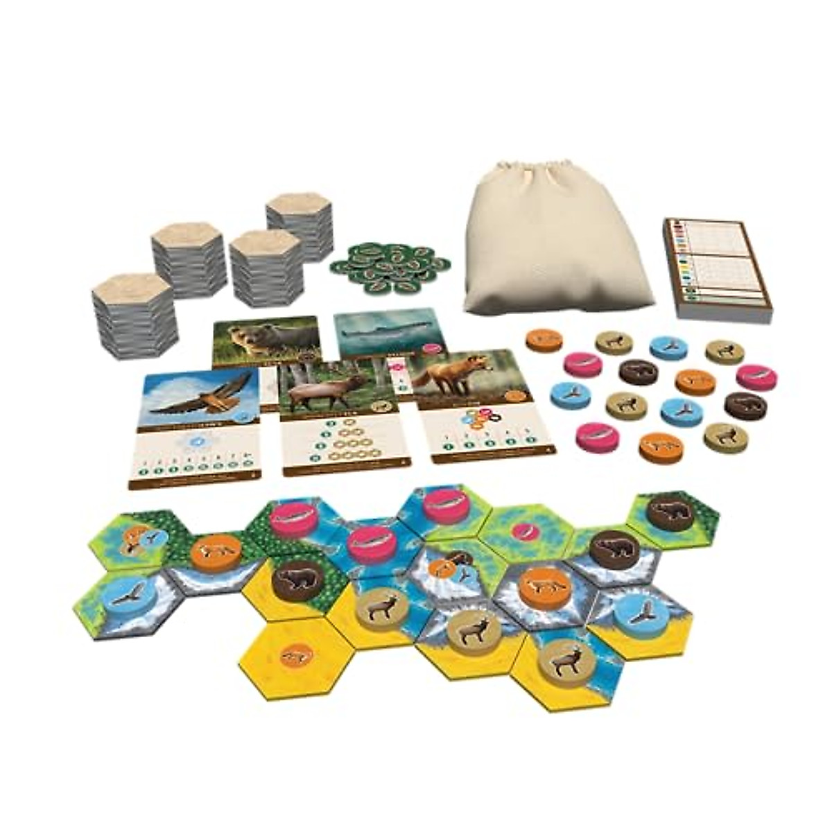 AEG & Flatout Games | Cascadia - Award-Winning Board Game Set in The Pacific Northwest | Easy to Learn | Quick to Play | Ages 10+