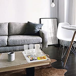 Jekiyo White Rectangular Plastic Fast Food Serving Tray, Set of 6