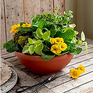 The HC Companies 14 Inch Large Garden Bowl Planter - Shallow Plant Pot with Drainage Plug for Indoor Outdoor Flowers, Herbs, Warm Gray