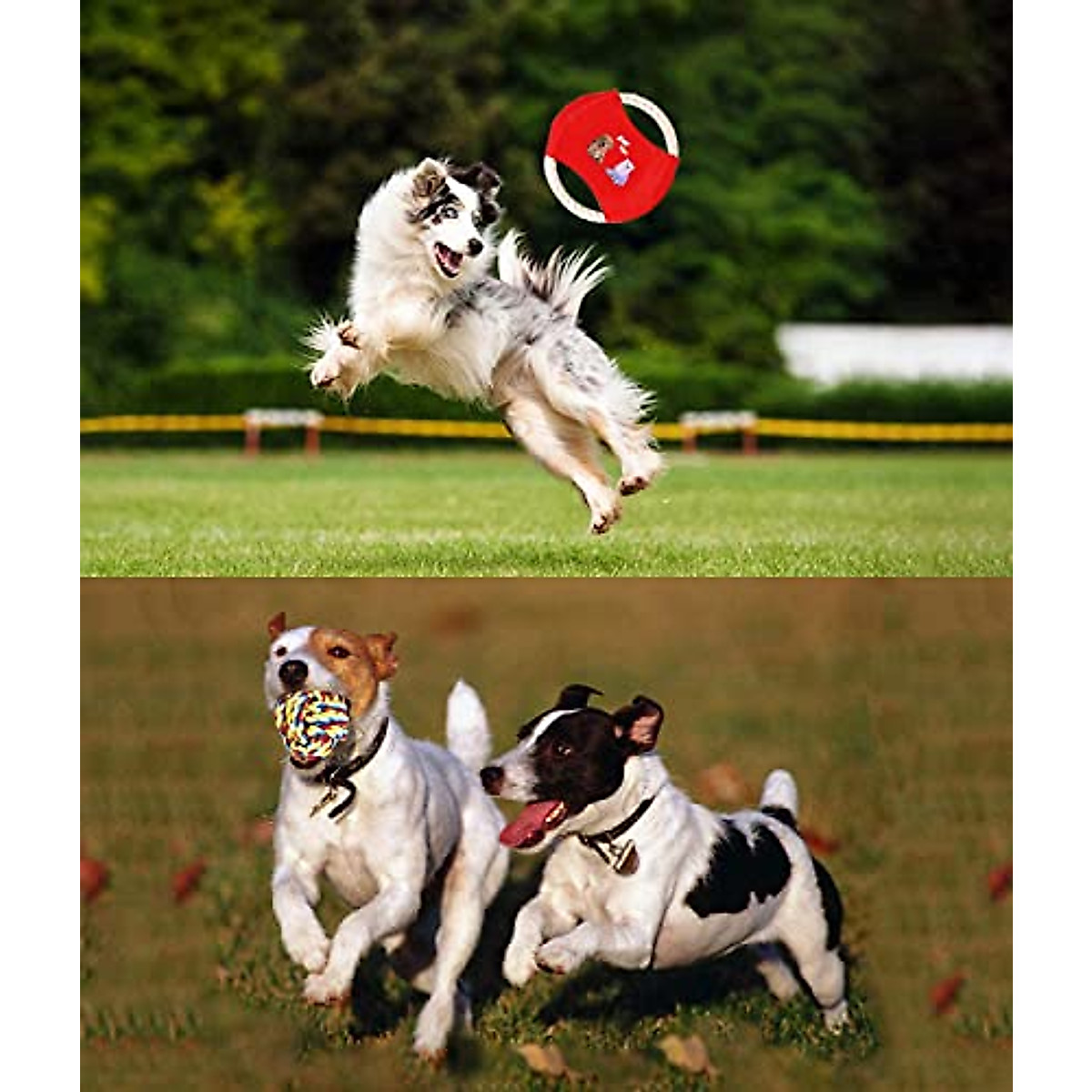 Dog Puppy Toys, Value Puppy Chew Toys for Med to Small Dogs with Interactive Dog Rope Toys, Dog Treat Dispenser Ball, Dog Squeak Toys, Tug of War Toys for Fun and Teeth Cleaning Dog Chew Toys(20 Pack)