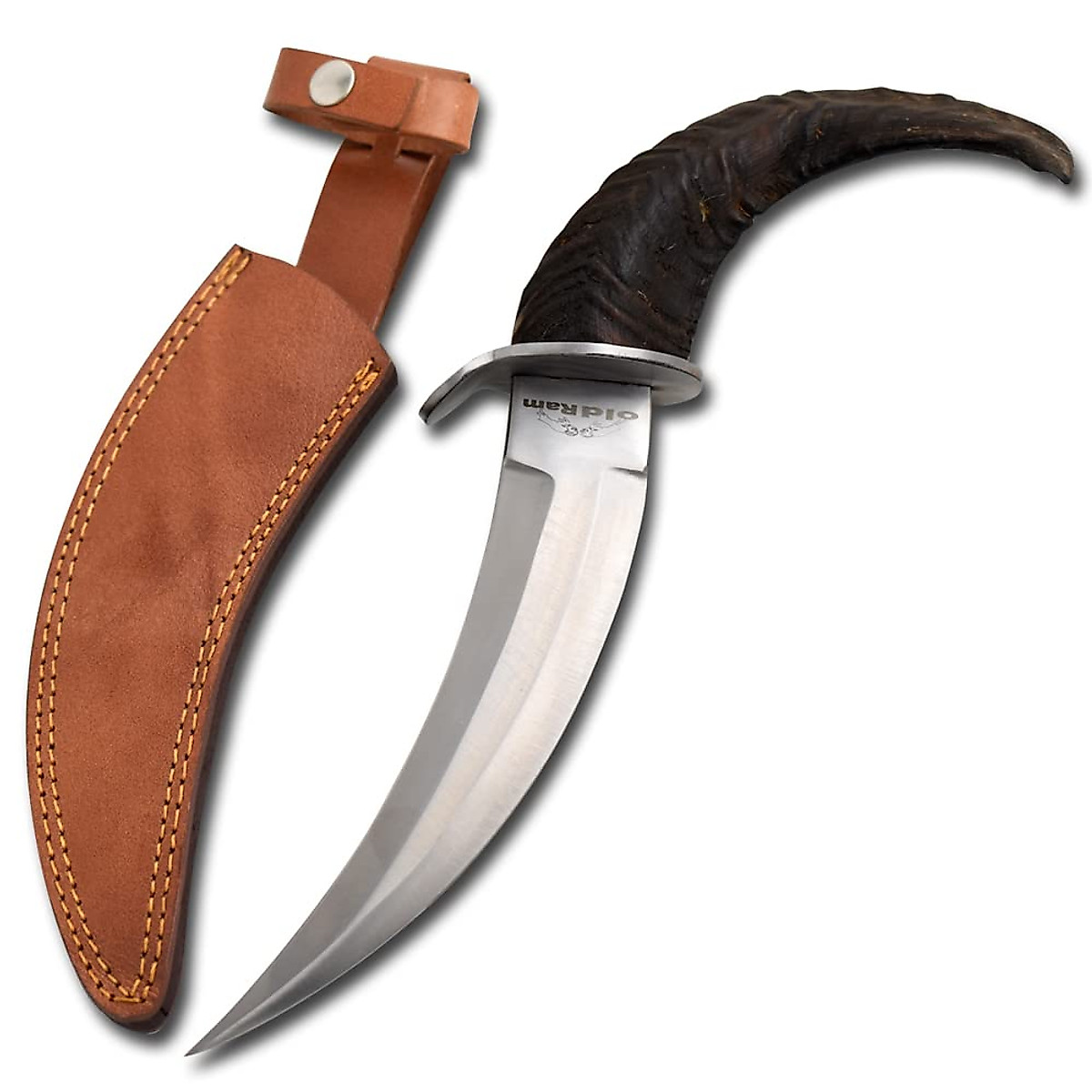 Old Ram Handmade Collection Stainless Steel Hunting Hunting Knife RAM Horn Handle With Leather Sheath