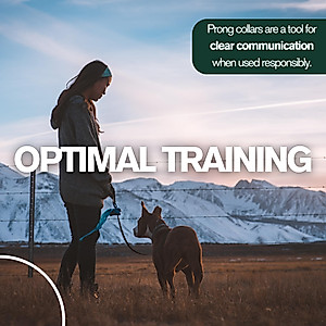 Kimberland Collars Clasp 2.25mm Stainless Steel Low Pro Dog Training Collar for Medium-Large Breeds | 16” Micro Prong Collar for Dogs 26lbs & Up | No-Pull Collar | Dog/Puppy Training & Behavior Aid