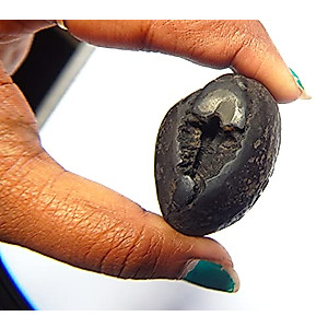 Laxmi Narayan Shaligram Lakshmi Narayan Salagram - Gandaki River Nepal