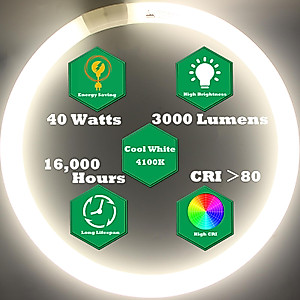 FC12T9/CW 32W and FC16T9/CW 40W Cool White Set, Round Fluorescent Light Bulb 12 inch T9 32 Watts & 16 inch 40 Watts Circular Bulb, Circline Kitchen and Bath Light Bulbs, 4100K, G10q 4 pin Prong