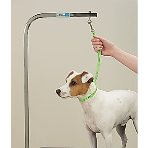 Top Performance Basic Grooming Loops - Versatile Nylon Loops to Secure Dogs on Tabletops While Grooming - 18", 4-Pack