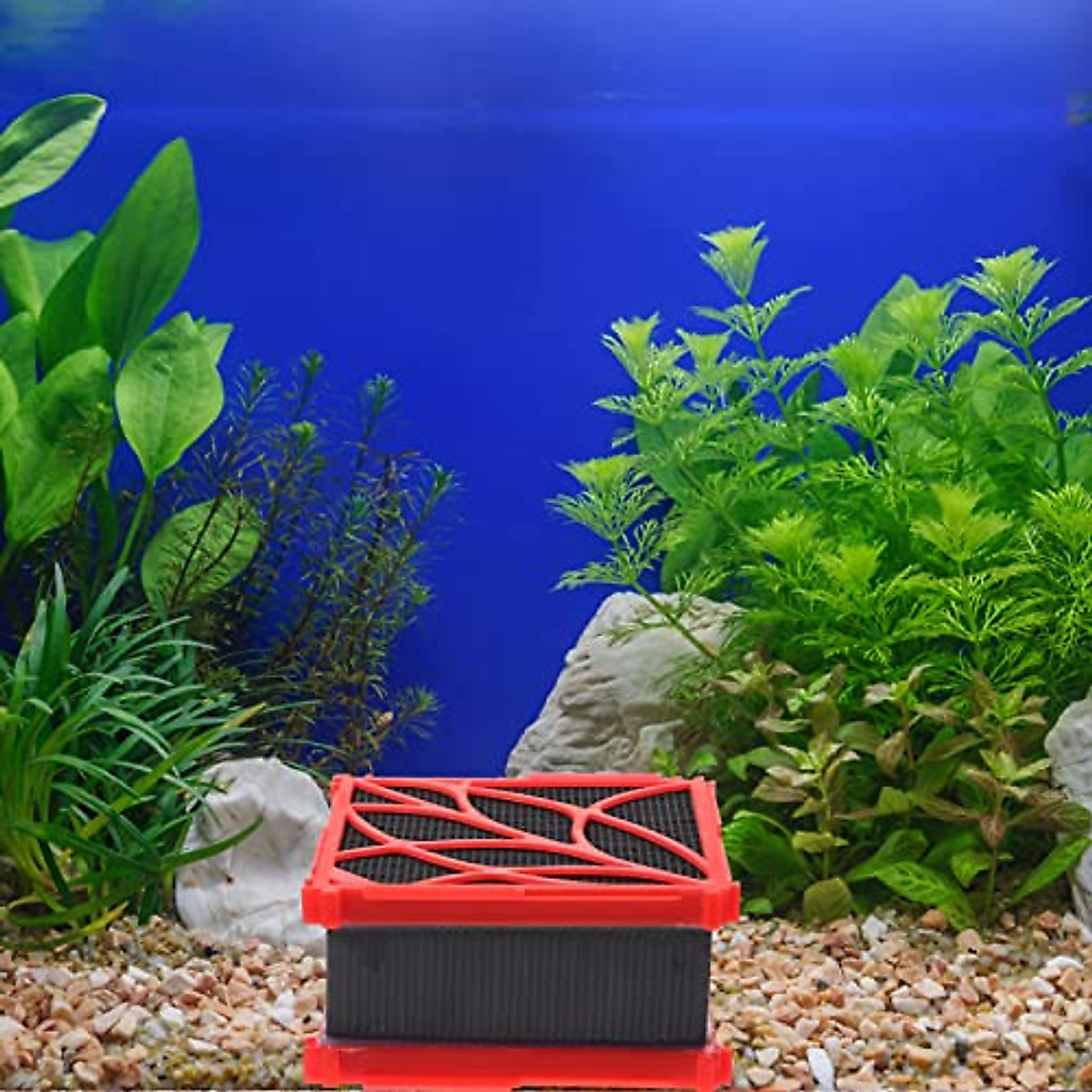 1pc Filter Charcoal Tool for Cleaner Home Pond Absorption Ponds Accessory Cube: Honeycomb Cubes Odor Purifier Carbon Use Purifying Tank Aquarium Remover Fish Water