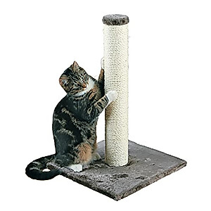 TRIXIE Parla Scratching Post, Durable Sisal Rope, 24.5" Tall, Gray