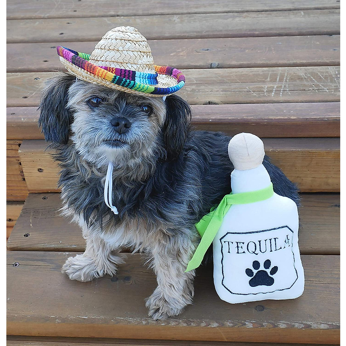 Baja Ponchos 4 Pack Fiesta Dog Chew Toys and Sombrero - Mexican Squeak Plush Toys - Dog Gifts for Chihuahuas - Taco - Tequila - Hot Sauce - for All Breeds