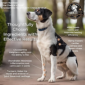 AdvancedPUP Dog Hip and Joint Care Supplement - Glucosamine Dog Joint Supplement - Dog Hip & Joint Care with Chondroitin, MSM, Turmeric for Dog Joint Relief - Healthy Natural Tasty Bacon – 90 Count