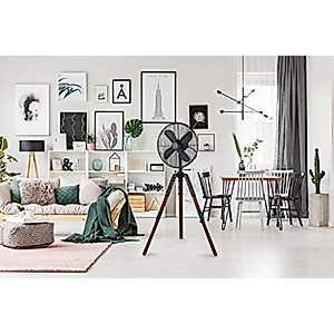 Star Fans Tripod, 16", Satin Nickel