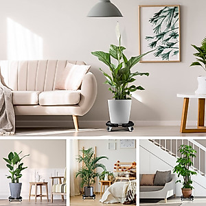 W B D WEIBIDA Plant Rollers with Wheels Heavy Duty, Adjustable 12 14 16 18 Inch Plant Caddy with Casters, Rolling Plant Stand, Large Potted Planter Cart Dolly for Flower Pot Outdoor Indoor