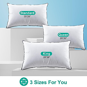 APSMILE Medium Firm Feather Down Pillows Standard Size Set of 2, Luxury Feather Pillow for Sleeping, Organic Cotton Cover Hotel Collection Bed Pillow (White, 20"x26")