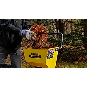 Champion Power Equipment 200905 3-Inch Portable Chipper-Shredder with Collection Bag