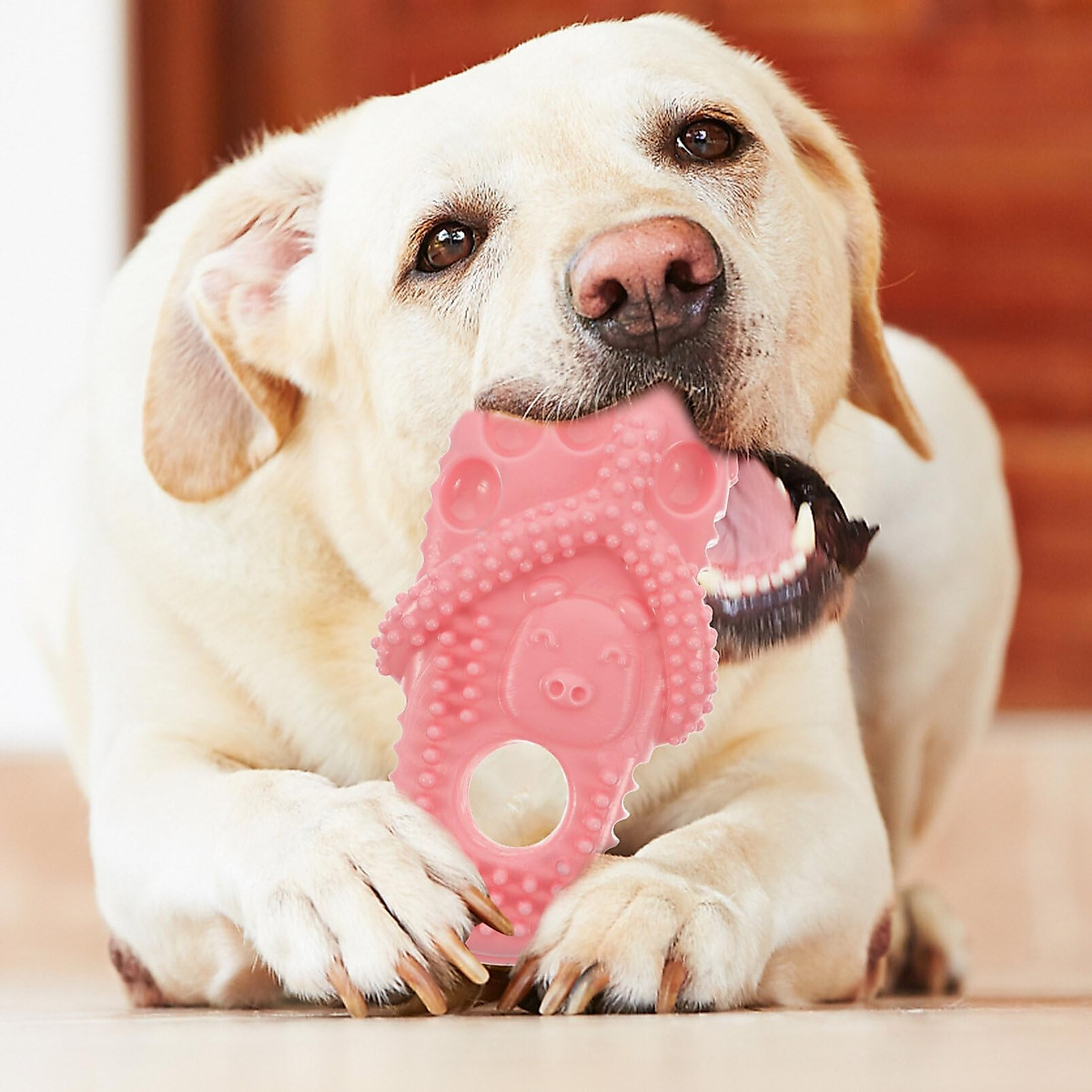 POPETPOP Dog Chew Slipper Shoe Shaped for Teething Puppies Molar Teeth Cleaning Chew Activity