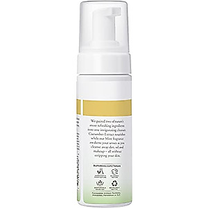 Burt's Bees Refreshing Foaming Cleanser and Natural Face Wash with Cucumber and Mint, 4.8 Fl Oz