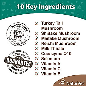 NaturVet Mushroom Max Advanced Immune Support Dog Supplement – Helps Strengthen Immunity, Overall Health for Dogs – Includes Shitake Mushrooms, Reishi, Turkey Tail – 60 Ct.
