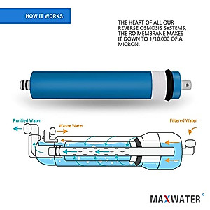 Max Water 50 GPD Membrane Reverse Osmosis Water Filter Replacement Universal RO Drinking Water System Fits Under Sink (1 pack)