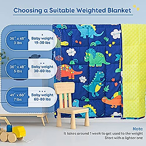 Sivio Weighted Blanket 5 lbs, Super Soft Crystal Velvet & Minky Dots Cartoon Patterns Reverise Heavy Throw, Heavy Blankets, 36 x 48 Inch Blue Dinosaur