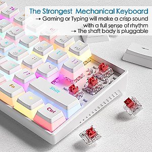 abucow Mechanical Keyboard Wired 60% Gaming Keyboard with 18 Style Colorful RGB Backlit Custom 63 Swappable keycaps (White&RGB)