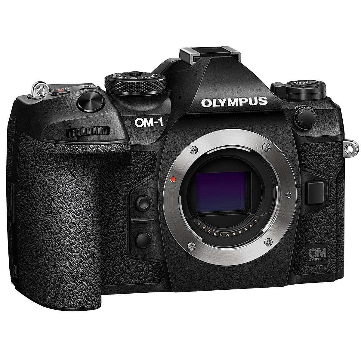 OM SYSTEM OM-1 Mirrorless Camera with M.Zuiko 90mm Macro Lens