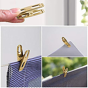 AITRAI Stainless Steel Clothespins-50 Pack Gold Clothespins Wire Metal Clothes Pins Laundry Clips for Outdoor Clothesline Home Kitchen Travel Office Decor Food Bag (Gold)