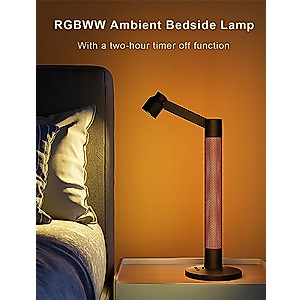 HCYHNB LED Desk/Task Lamp for Home Office, 600LM Eye-Caring Reading Light, 360°Rotatable Swing Arms, Dimmable Table Lamp with Atmosphere Lighting for Desk Bedside