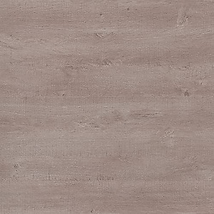 Bush Furniture Key West Collection 54W Single Pedestal Desk in Washed Gray