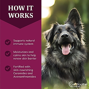 CeraSoothe® CHX+MC Antiseptic Shampoo 8oz