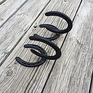 Horseshoe Hooks