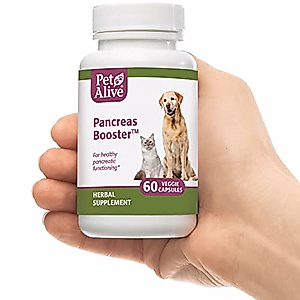 PetAlive Pancreas Booster - All Natural Herbal Supplement for Pancreatic Health and Digestive Functioning in Cats and Dogs - Supports Healthy Insulin Production - 60 Veggie Caps