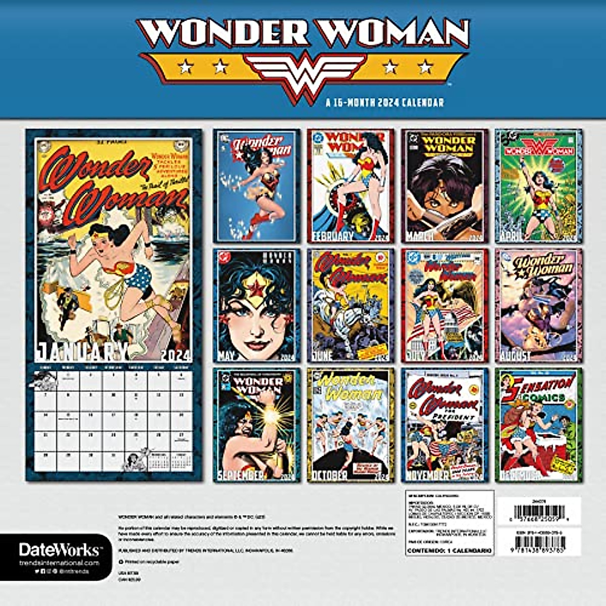 2024 DC Comics Wonder Woman Wall Calendar & Push Pins