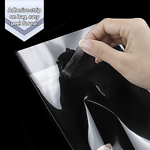 Golden State Art, 100 5 1/4 X 7 1/8 Clear Bags for 5x7 Photo Mats