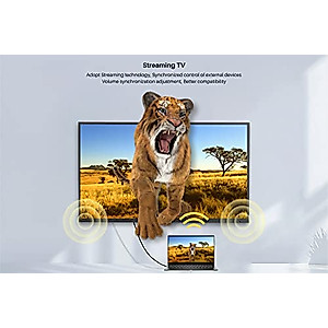 SYLVOX Outdoor TV, 65 inch Waterproof 4K Smart TV, Outdoor Television Support Bluetooth WiFi for Full Sunshine Areas 1500nits (2022, Pool Series)