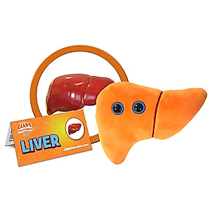 GIANTmicrobes Stuffed Liver Plush, Liver Stuffed Animal, Anatomical Liver, Hepatologist Gift, Liver Transplant Gifts, Hepatitis Gift, Hepatology Gift, Cirrhosis Gift, Liver Pillow, Liver Donor Gift