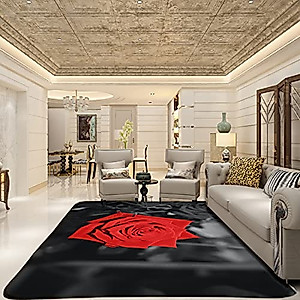 AIDOXY Large Farmhouse Rug Farmhouse Decor, Romantic Rose Black White Red Painting Abstract Mat Area Rug Home Decor Non-Slip Crystal Floor Polyester Mat 19.6x31.5inch