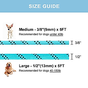 Petarea 5 FT Slip Lead Dog Leash, Heavy Duty Rope Leash for Small Medium Large Dogs, No Pull Training Lead with Reflective Thread, Strong Comfortable Loop Leash (Teal Stripe, Medium(3/8"))