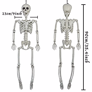 XONOR 3ft Halloween Skeleton Realistic Human Plastic Full Body Skeleton with Movable Joints for Haunted House Props Decorations