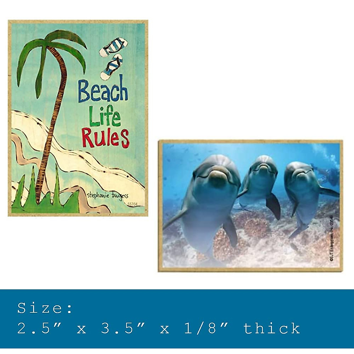 SJT ENTERPRISES, INC. There's Always Time for Wine - Wood Fridge Magnet - Funny Kitchen Decoration - Great for Wine Lovers - Made in USA - Measures 2.5" x 3.5" (SJT00134)