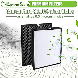 2 pack HEPA Filter FY2422/30 and 2 pack Filter FY2420/30 Alternative Replacement for Philips AC2889,AC2887,AC2882,AC3829 Air Purifier Filters
