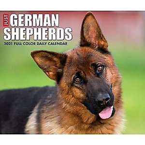 Just German Shepherds 2021 Box Calendar (Dog Breed Calendar)