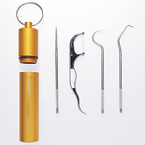 GELMAY Portable Toothpicks Pocket Set, Dental Floss Picks, Reusable Flosser, Travel Tooth Picker, Flossers for Adults, Stainless Steel Teeth Cleaning Kit