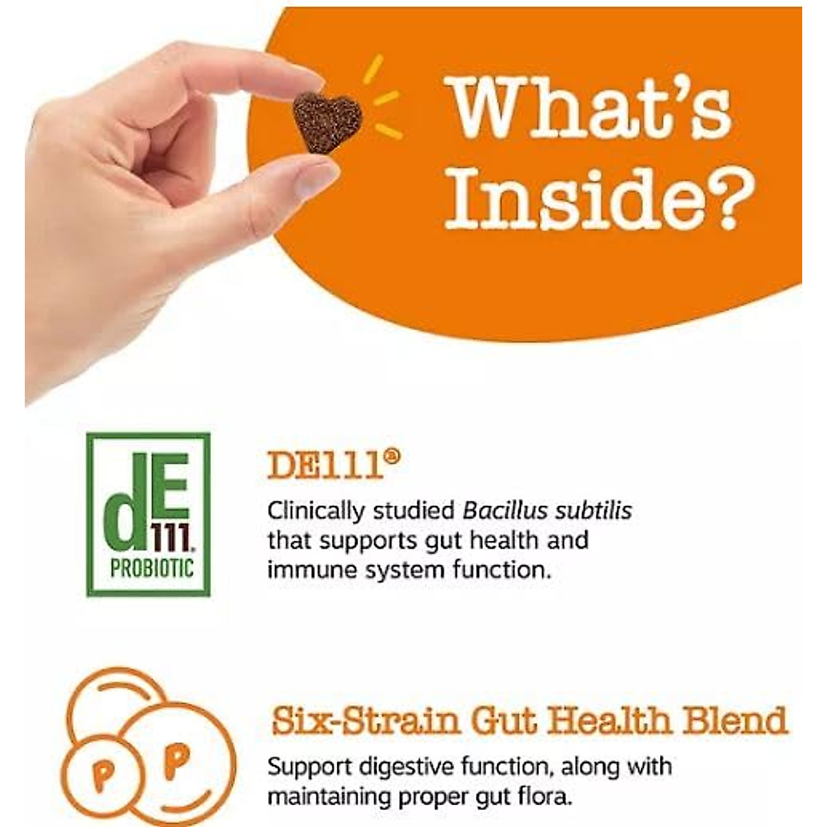 Probiotic Bites for Dogs 170 Soft Chews– Compatible with Zesty Paws Pumpkin Flavor