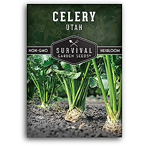 Survival Garden Seeds - Utah Celery Seed for Planting - Packet with Instructions to Plant and Grow Delicious Celery Plants in Your Home Vegetable Garden - Tender and Crisp Non-GMO Heirloom Variety